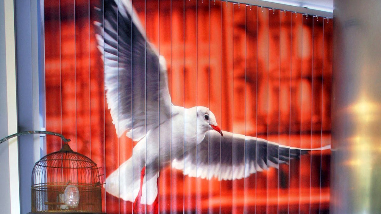 Вертикальные жалюзи с фотопечатью — купить в Санкт-Петербурге